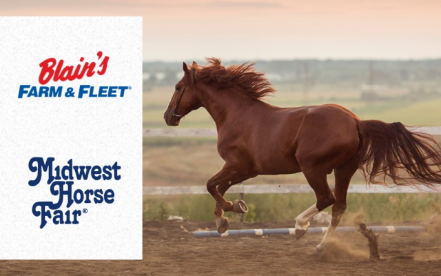 Midwest Horse Fair Logo Local For You Midwest Horse Fair