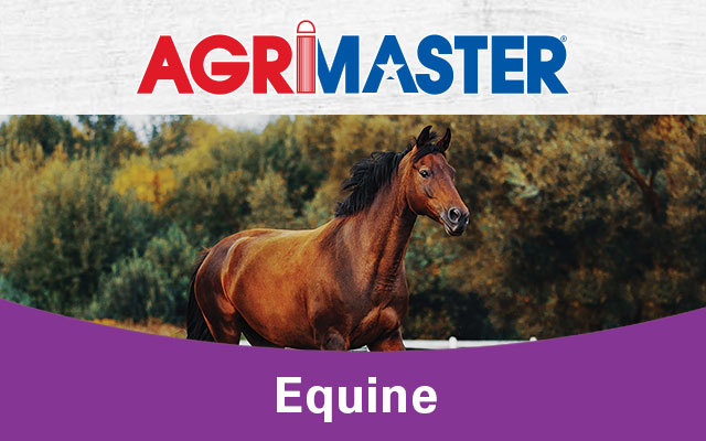 Agrimaster Horse Feed at Blain's Farm & Fleet