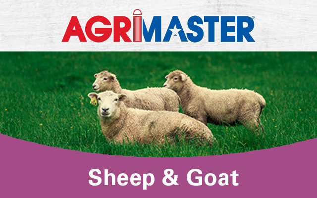 Agrimaster Sheep Feed at Blain's Farm & Fleet