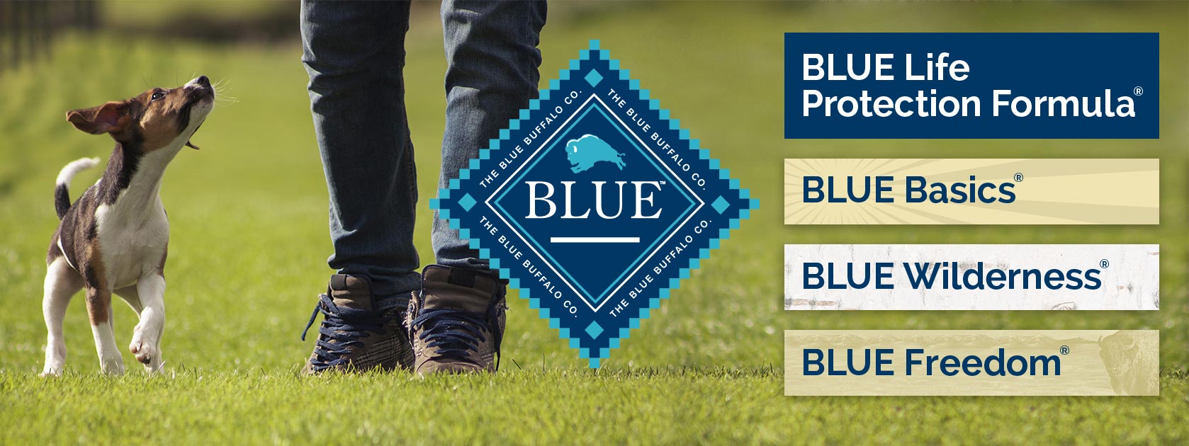 Blue Buffalo Wet Dog Food at Blain's Farm & Fleet
