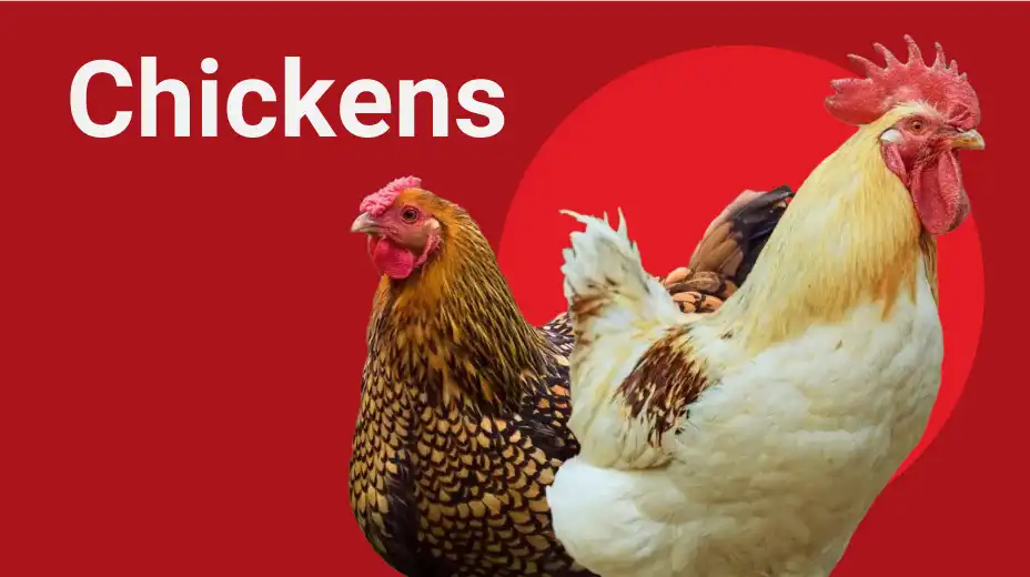 Blain's Farm & Fleet | Great Brands, Great Value