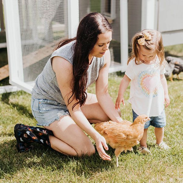 Poultry Supplies | Blain's Farm & Fleet