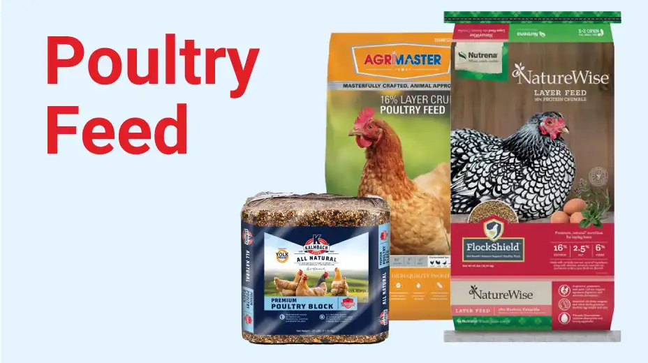 Poultry Supplies | Blain's Farm & Fleet