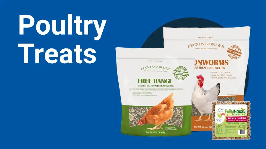 Essential Poultry & Chicken-Raising Supplies | Blain's Farm & Fleet