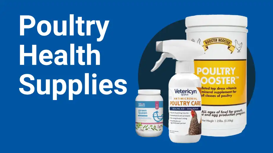 Essential Poultry & Chicken-Raising Supplies | Blain's Farm & Fleet