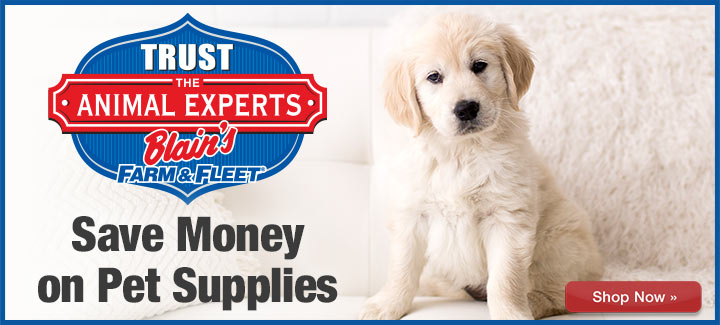 Blain's Farm & Fleet | Great Brands, Great Value