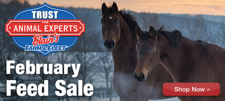 Blain's Farm & Fleet | Great Brands, Great Value